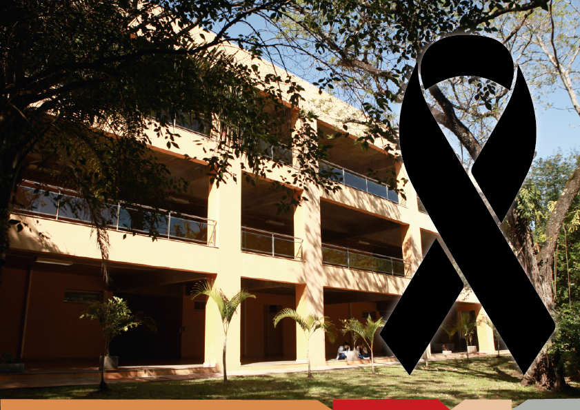 Universidad Católica de las Misiones